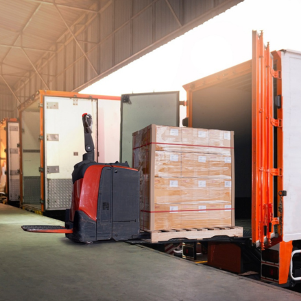 Prima Cargo Express - Tera Logistics